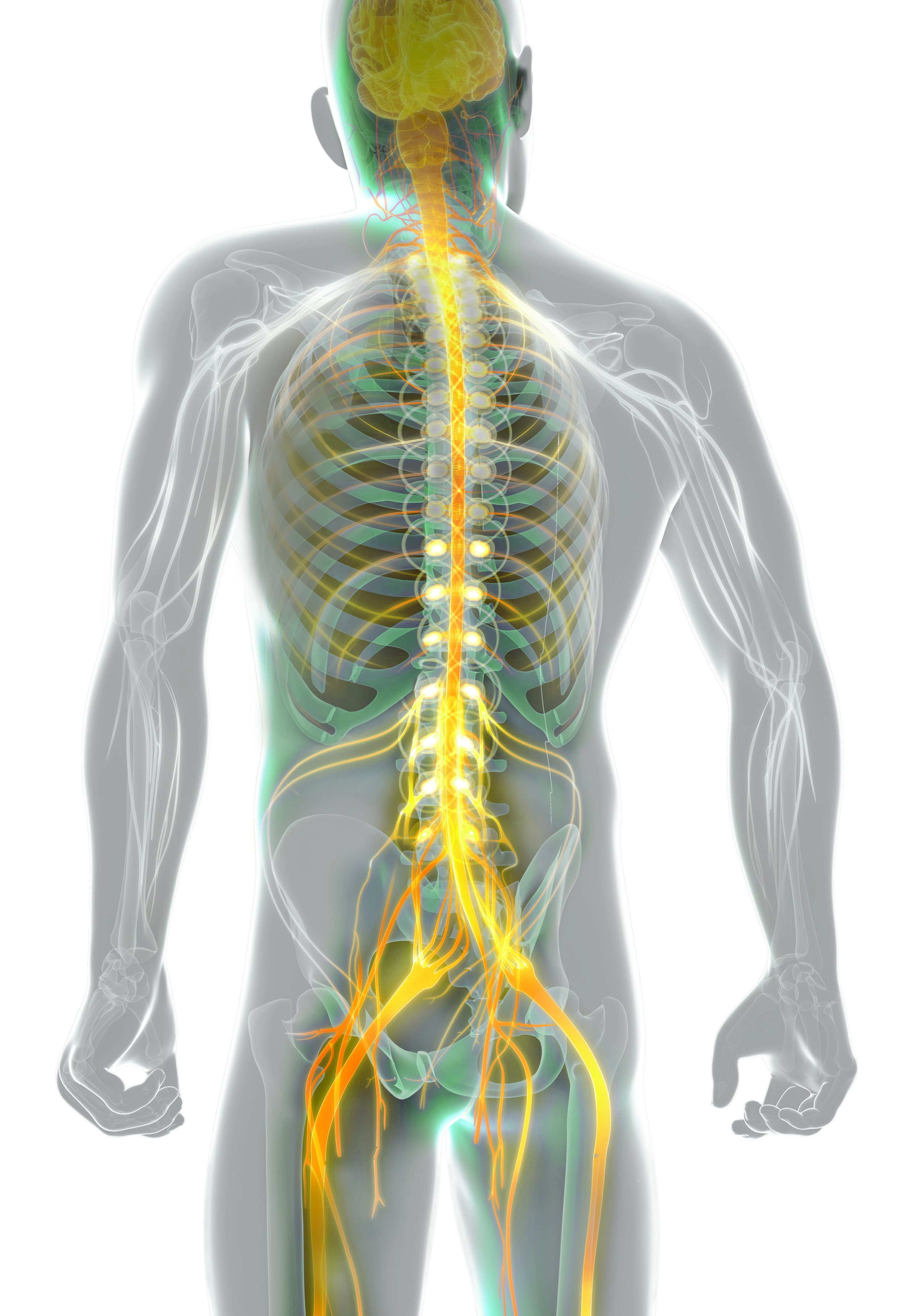 What Is DRG Stimulation Blog Twin Cities Pain Clinic What Is DRG Stimulation Blog Twin Cities Pain Clinic
